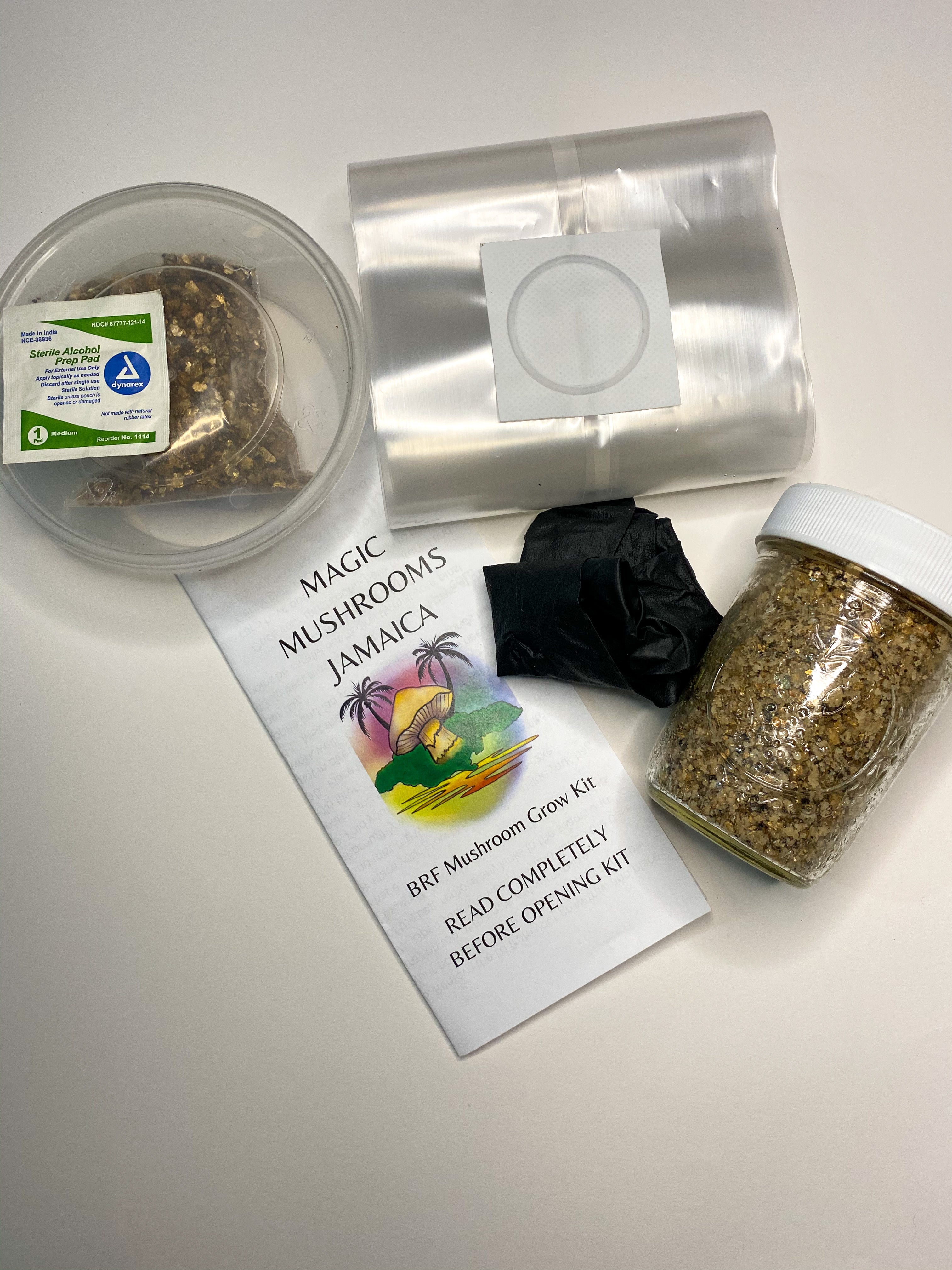 Magic Mushroom Grow Kit – Magic Mushrooms Jamaica